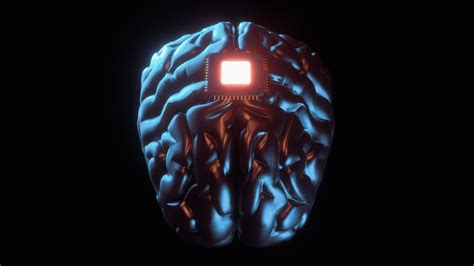 Elon Musk Será El Primero En Implantar Chips Cerebrales