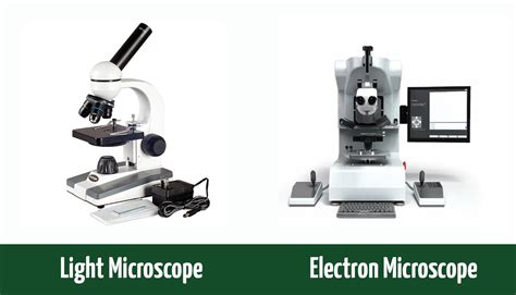 Light Vs Electron Microscope Whats The Difference With Pictures Optics Mag
