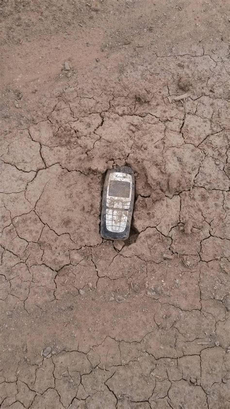 13 Incredible Fossils That Show What Human Life Was Once Like