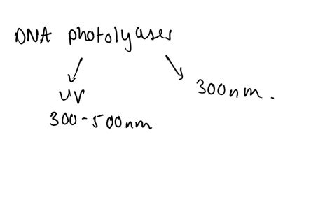 Solvedif Step 10 Was Done Plot The Absorption Spectrum Absorption