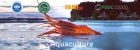 Customized Soy Lecithin Powder Suppliers Manufacturers Factory