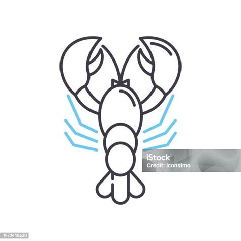 가재 선 아이콘 개요 기호 벡터 일러스트 레이 션 개념 기호 갈고리 발톱에 대한 스톡 벡터 아트 및 기타 이미지 갈고리 발톱 갑각류 개체 그룹 Istock