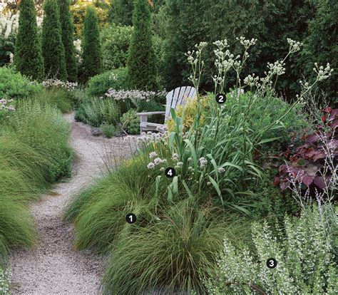 Drought Tolerant Garden Design Ideas