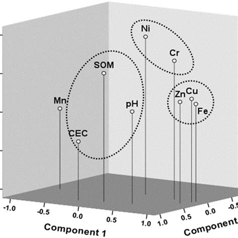principal component analysis loading plots for the three rotated