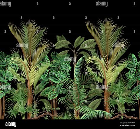 Border With Different Palm Trees Tropical Vector Stock Vector Image