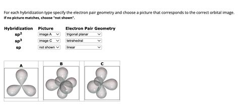 Solved Give Right Answer Please For Each Hybridization