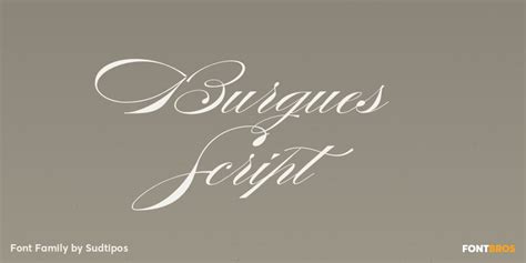 Burgues Script Font Canyon