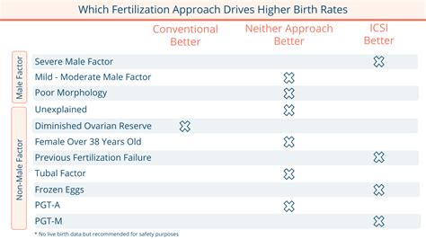 The Steps And Decisions In The IVF Process FertilityIQ