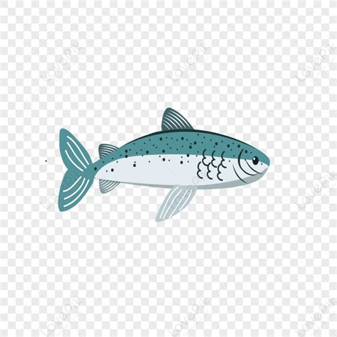 물고기 벡터 디자인입니다 바다 일러스트생선어패류해산물 Png 일러스트 무료 다운로드 Lovepik