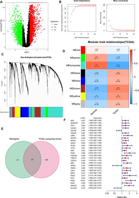 Tcga Cohort Differential Analysis And Wgcna Identification Of Hub Genes