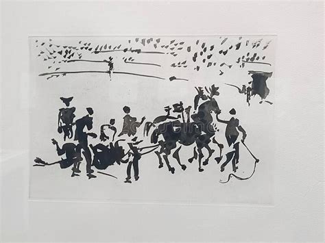 Museo Dei Picassi Fotografia Stock Editoriale Immagine 264227833