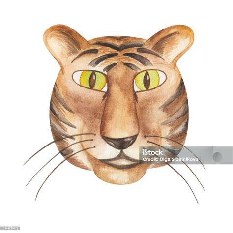 수채화 일러스트 핸드는 노란색 눈 흰색에 고립 된 모피에 줄무늬와 호랑이 머리를 그린 2022년 새해 상징 2022년에 대한 스톡 벡터 아트 및 기타 이미지 Istock