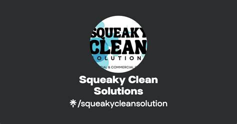 Squeaky Clean Solutions Instagram Facebook TikTok Linktree