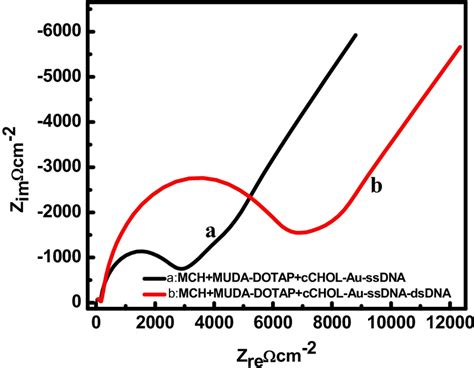 Eis Sensing Of Real Bacterial Sample E Coli On Download Scientific Diagram