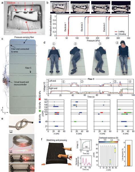 A Optical Micrograph Of The Fiber Cross Section Three Small