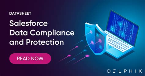 Salesforce Data Compliance And Protection Delphix By Perforce