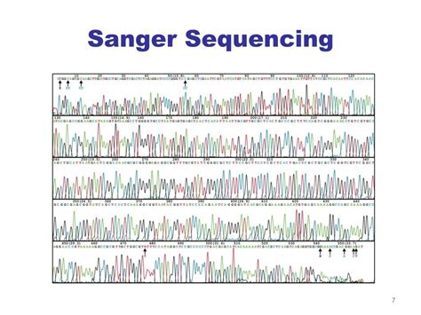 Ppt Next Generation Sequencing Powerpoint Presentation Free Download