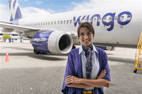 Wingo Airlines At Lara Bunton Blog