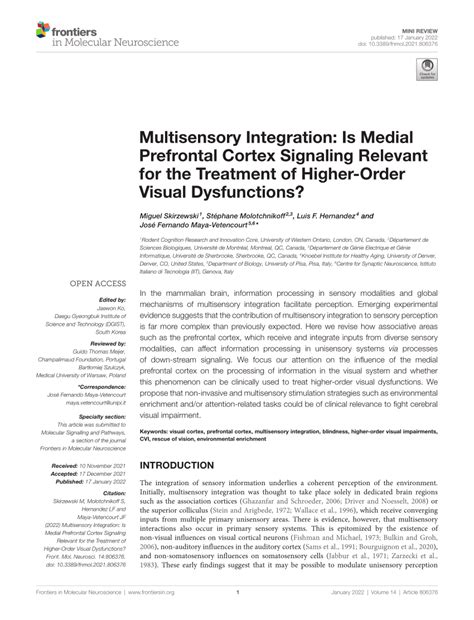 Pdf Multisensory Integration Is Medial Prefrontal Cortex Signaling Relevant For The Treatment