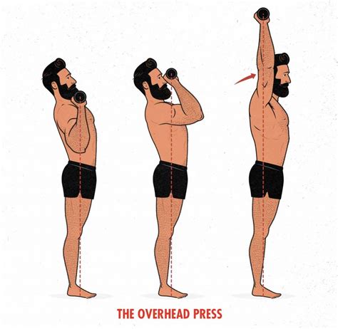 Beginner Bodyweight Workout Plan For Building Muscle—full Guide