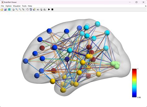 脑网络可视化软件brainnet Viewer快速上手教程 知乎