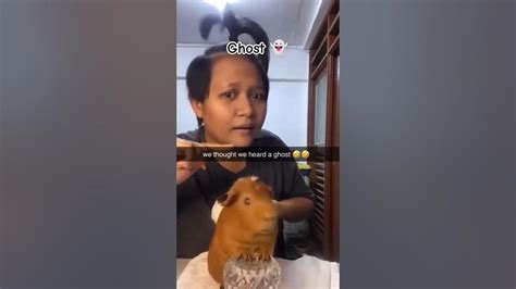 His Timing For Rotation 🤣 Youtube