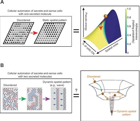 Predictive Landscapes For Cellular Automata That Self Organize Spatial