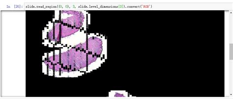 Mrxs File Seem Error With Readregion Function · Issue 65 · Openslide