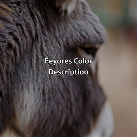 What Color Is Eeyore