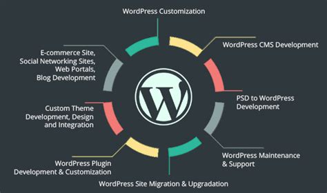 Hire Wordpress Plugin Developers India Hire Wordpress Programmers