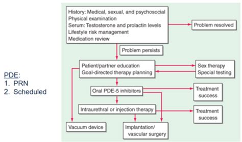 Thera Exam 2 Sexual Dysfunction Flashcards Quizlet Thera Exam 2 Sexual Dysfunction Flashcards Quizlet
