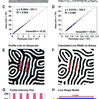 Diagrams Depicting Measurement Of Line Edge Roughness And Line Width Download Scientific