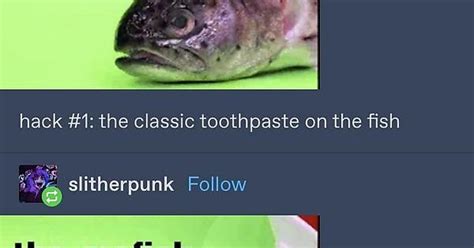 I Want To Start Collecting More Examples Of People Playing With Jpegs