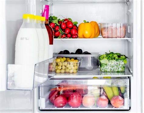 Mini Fridge Temperature Control A Guide To Optimal Setting