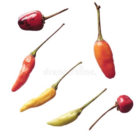 Hete Peper Stock Afbeelding Image Of Geïsoleerd Geel 1127867