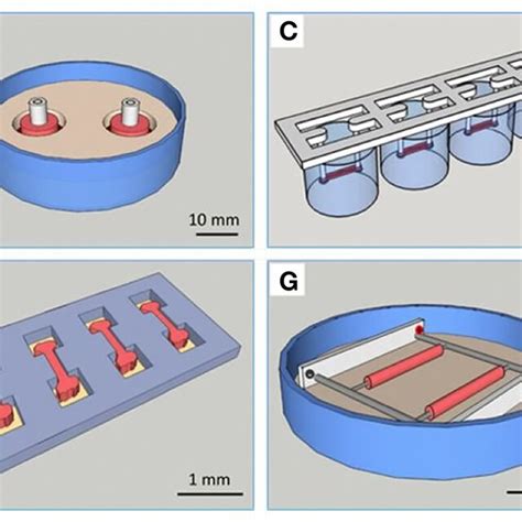 Overview Of Different Types Of Ehts Reprinted With Permission From Download Scientific Diagram