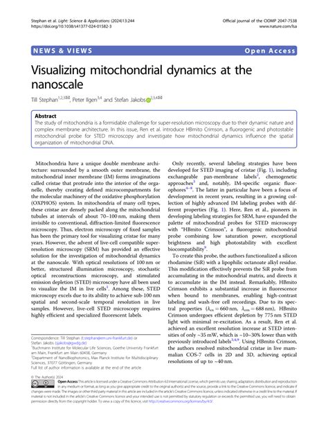 Pdf Visualizing Mitochondrial Dynamics At The Nanoscale