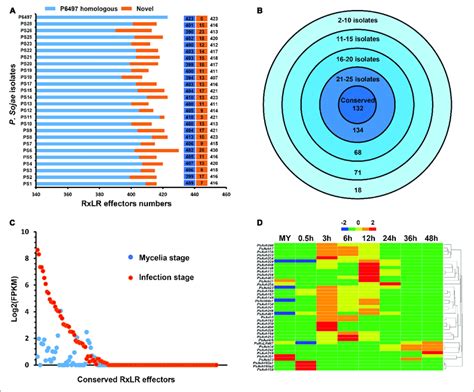 The Rxlr Effector Repertoire In P Sojae A Number Of Rxlr
