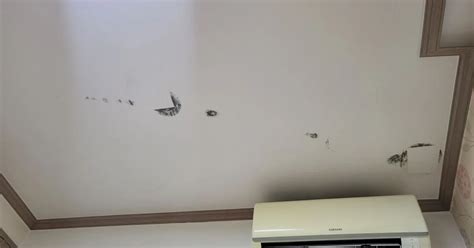 이 정도 천장 곰팡이 제거하는데 비용이 얼마나 들까요 숨고 숨은고수