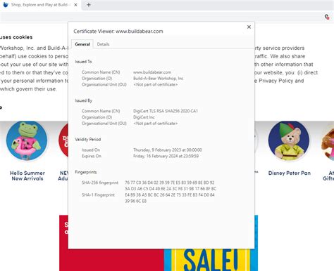 Complete Guide To Choosing SSL Certificates Pressidium Hosting