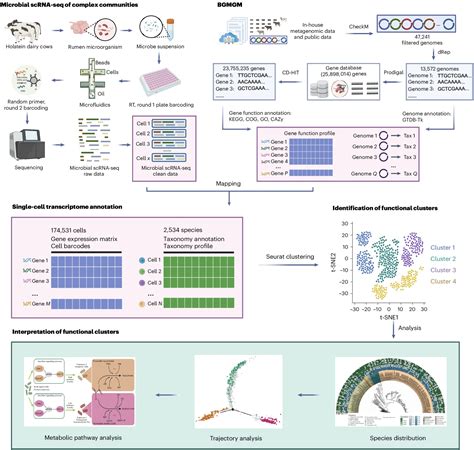 Single Cell Transcriptomics Across 2534 Microb
