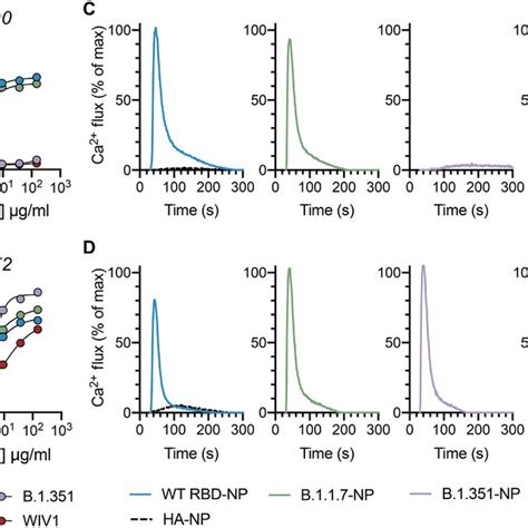 In Vitro Reconstitution Of Naive B Cell Activation A Elisa Binding