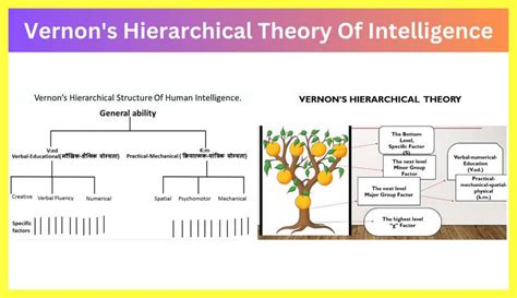 Vernon Theory Of Intelligence Notes In Hindi Pdf Download