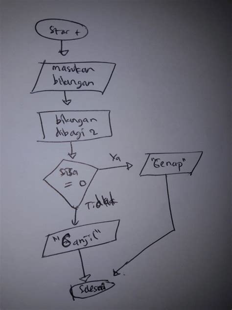 Flowchart Bilangan Ganjil Genap Beinyu