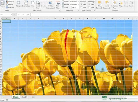 Tutorial On How To Remove Background Excel In Just A Few Simple Steps