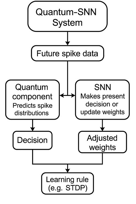 A Conceptual Framework For Quantum Spiking Neural Networks Leveraging Temporal Dynamics And