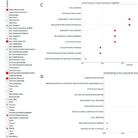 Results From Gtex V8 Differential Gene Expression Analysis And Download Scientific Diagram