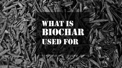 What Is Biochar Used For