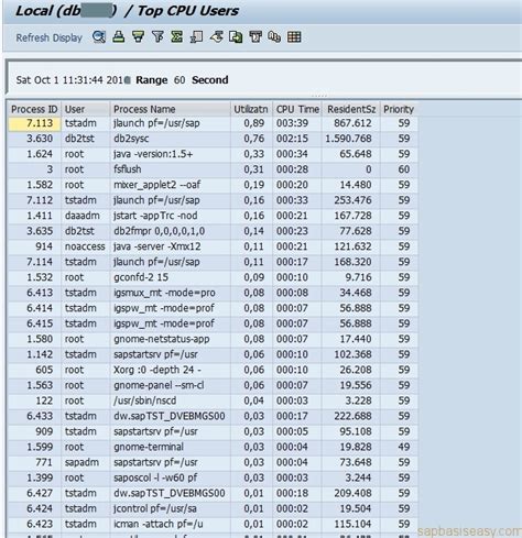 Monitoring Sap Operating System Sap Basis Easy