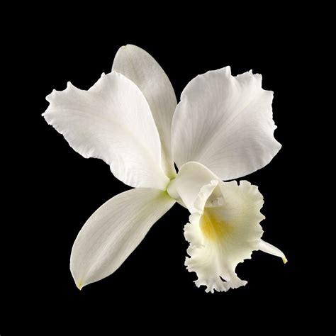 Pascal Goet Galerie Hegoa